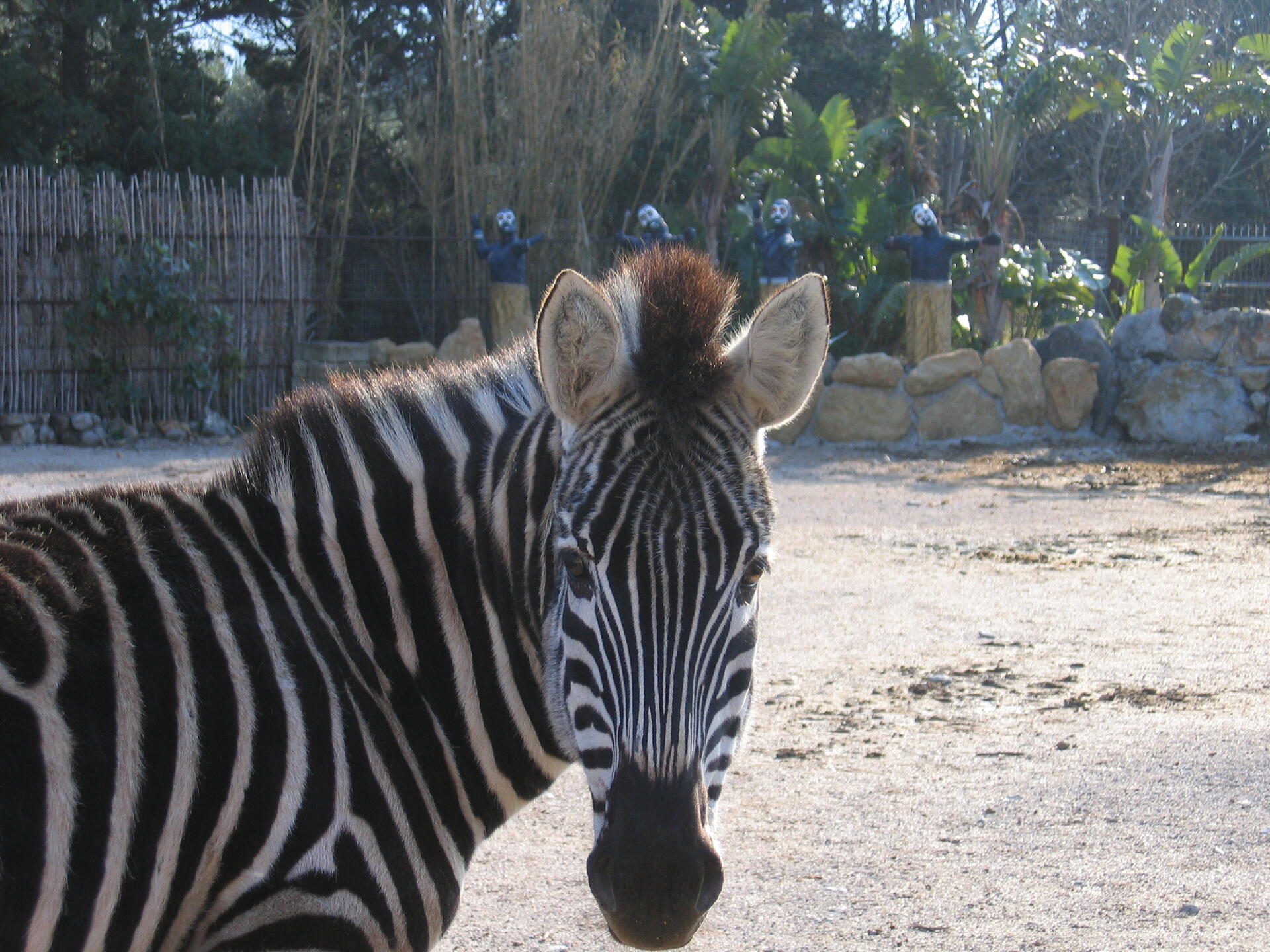 Bioparco di Sicilia | Visit Sicily pagina ufficiale